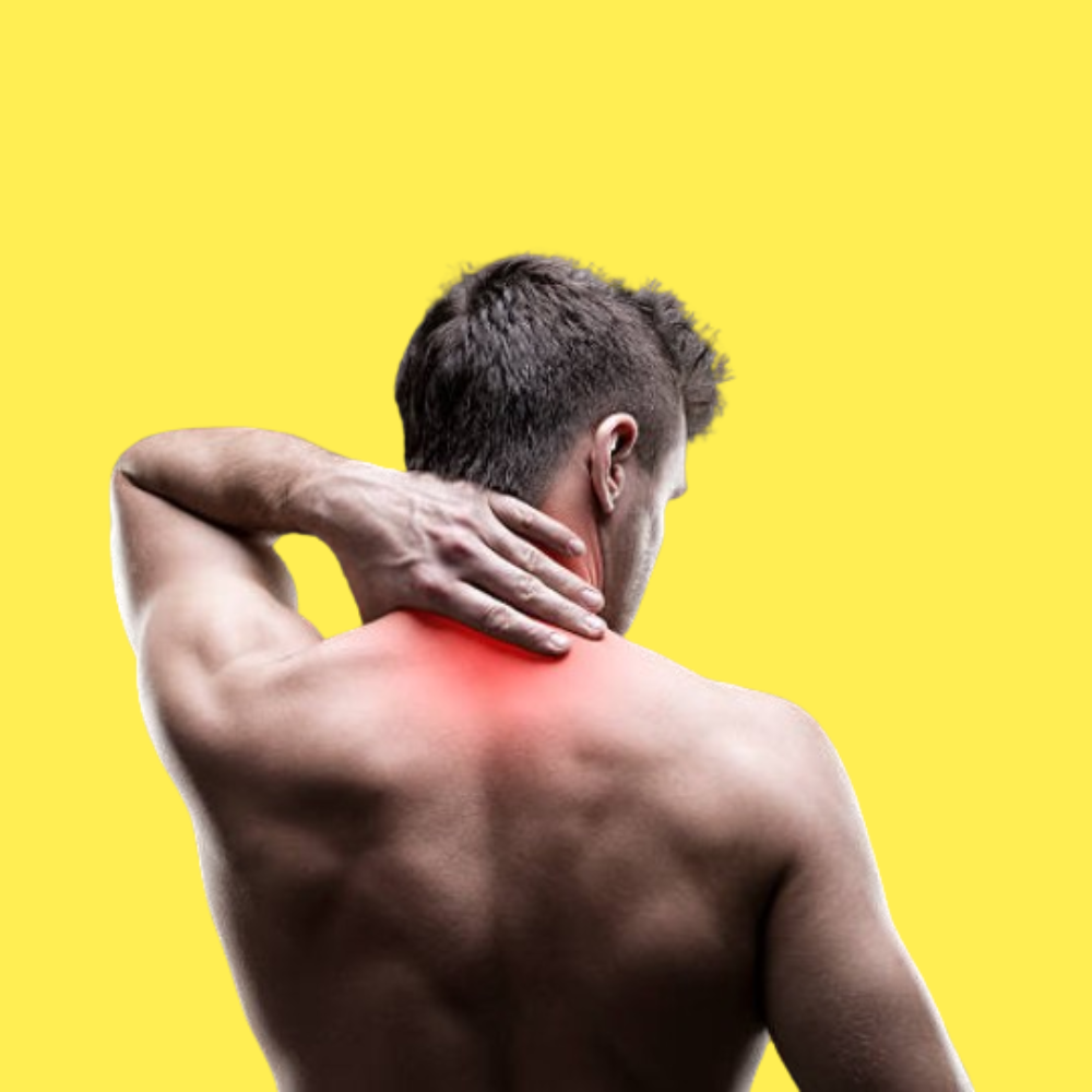 DEBIK | Buy Seat cushions, Massagers and Orthopedic Products