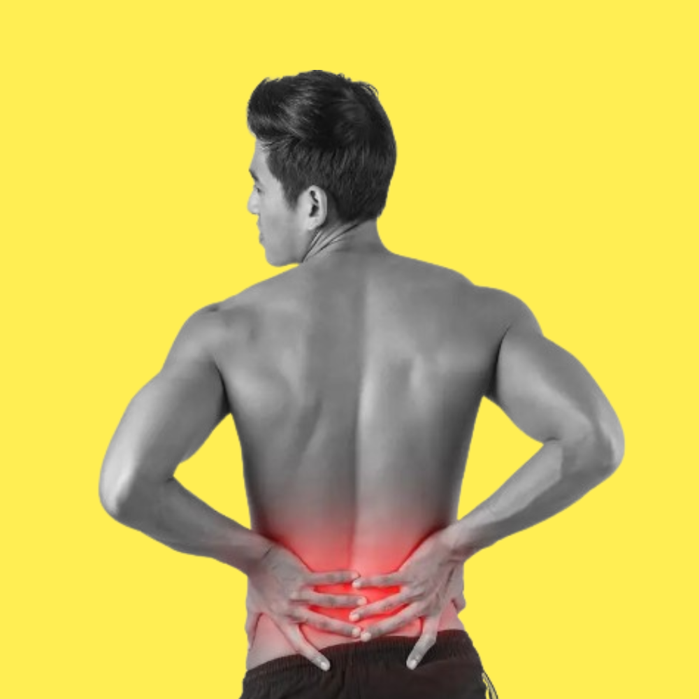 DEBIK | Buy Seat cushions, Massagers and Orthopedic Products