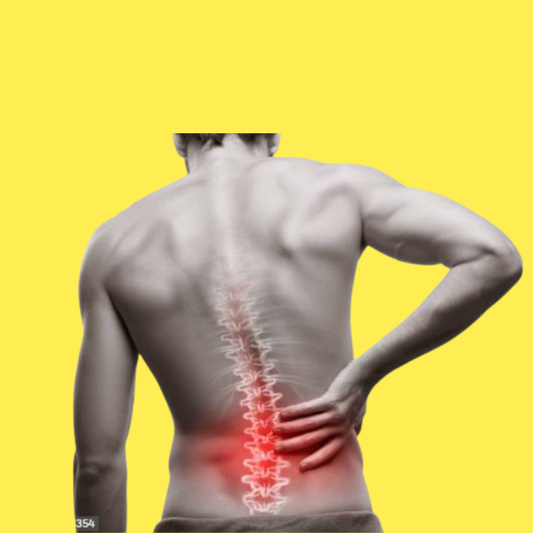 DEBIK | Buy Seat cushions, Massagers and Orthopedic Products